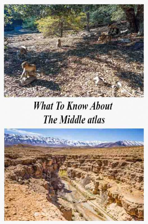 What To Know About The Middle Atlas - Morocco Friendly Travel